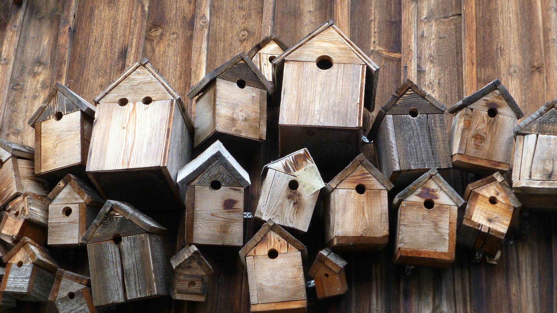 Making bird boxes - lets-do-diy.com